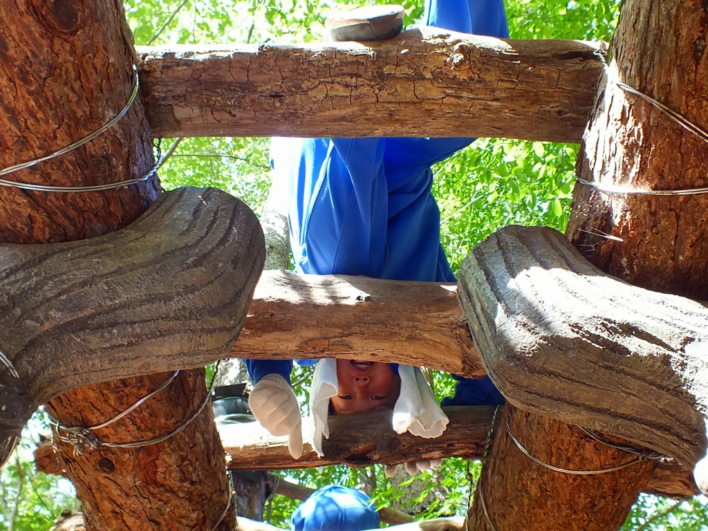 DSCF5346 – 敷島小学校